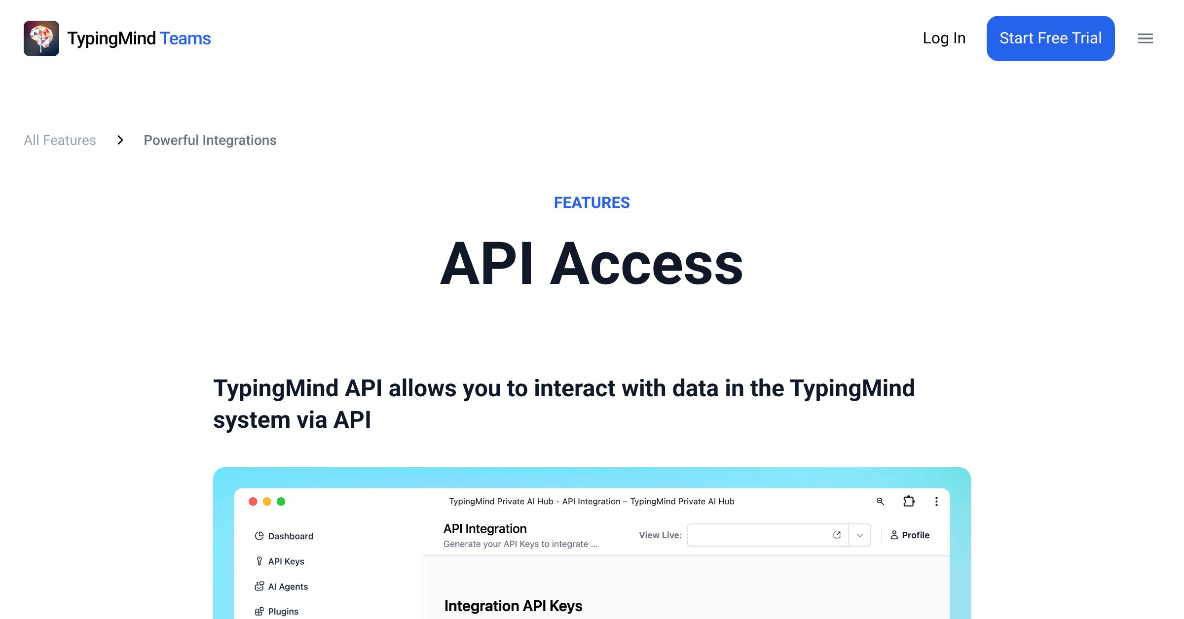TypingMind Teams - Api Access