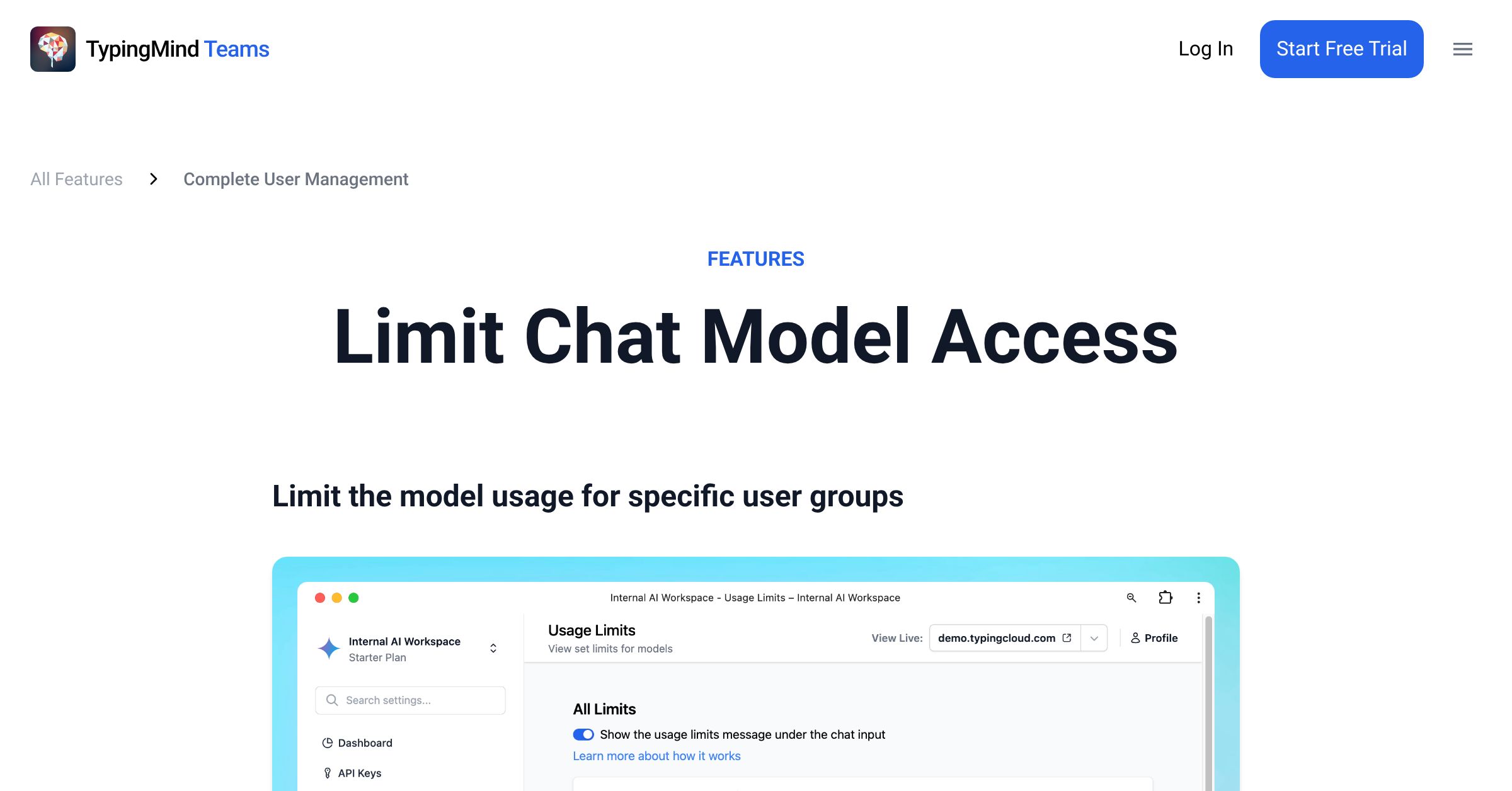 TypingMind Custom - Limit Chat Model Access