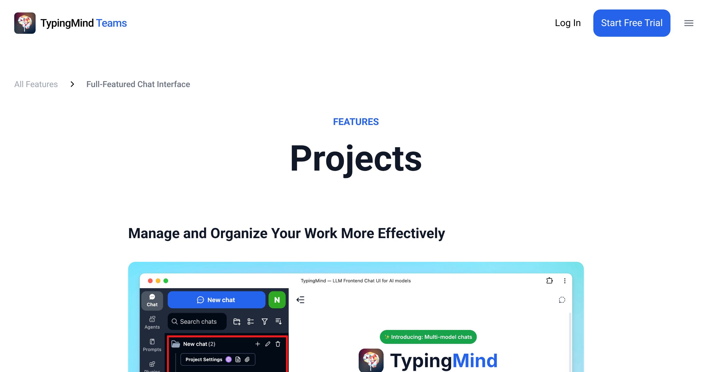 TypingMind Custom - Projects