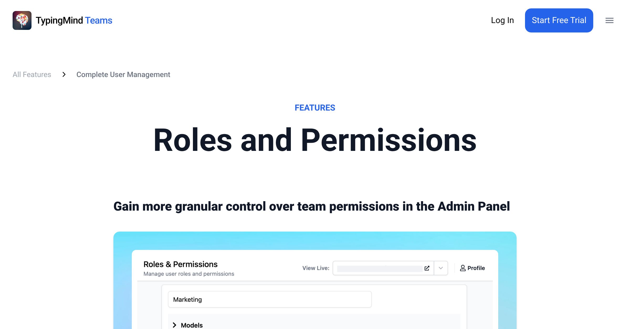 TypingMind Teams - Roles And Permissions