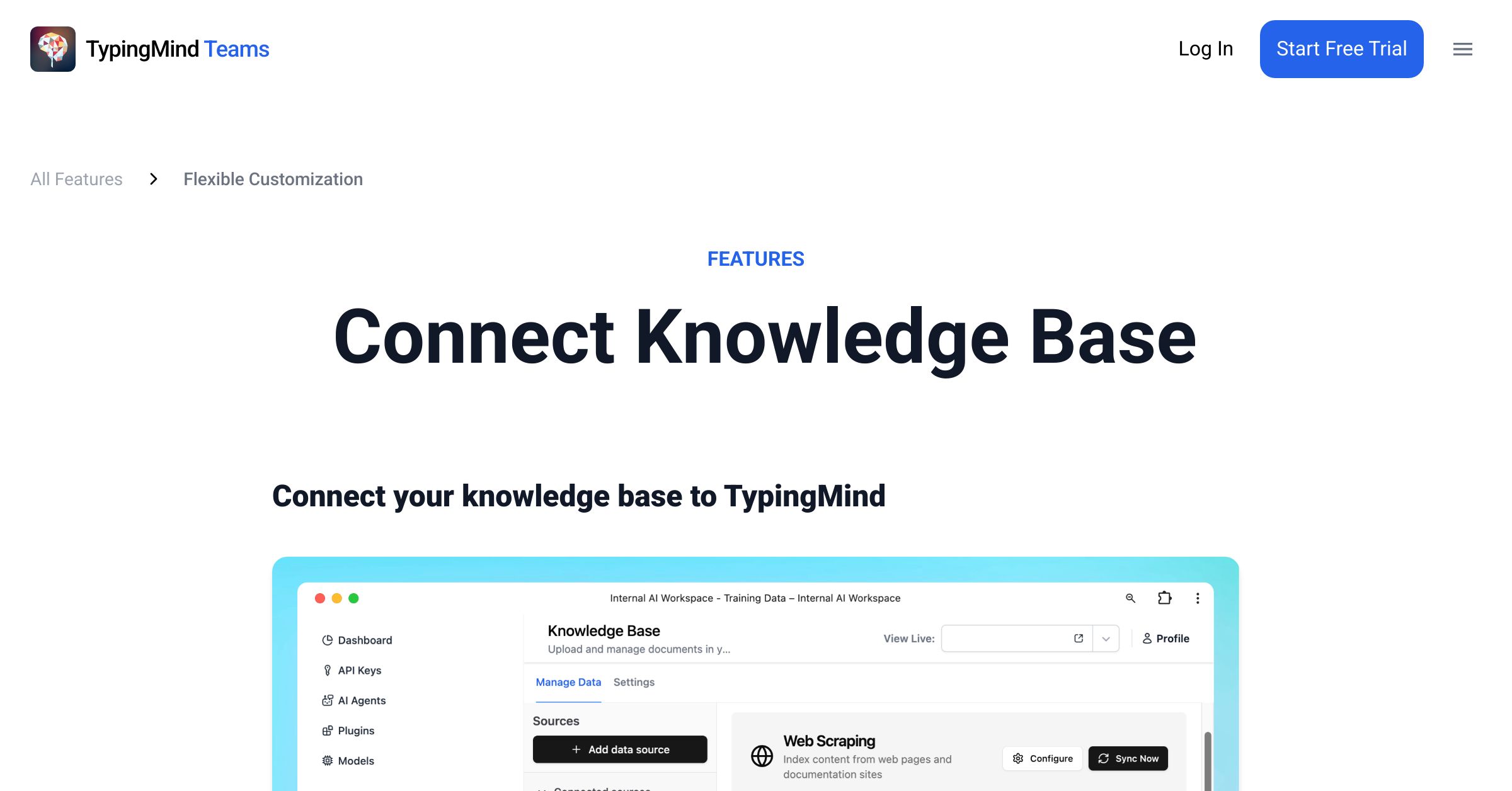 Typingmind Custom Upload Training Data 