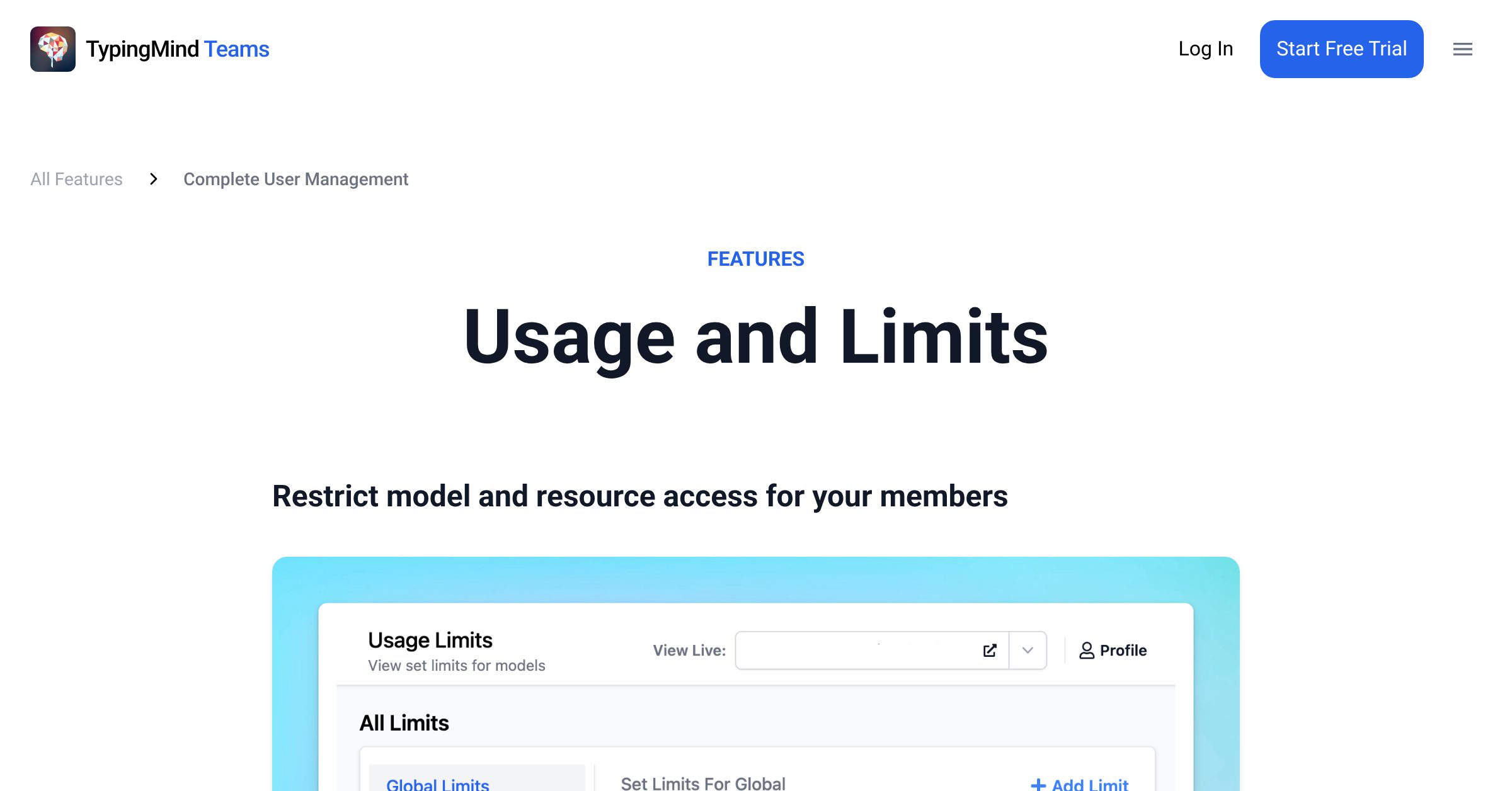 TypingMind Teams - Usage And Limits