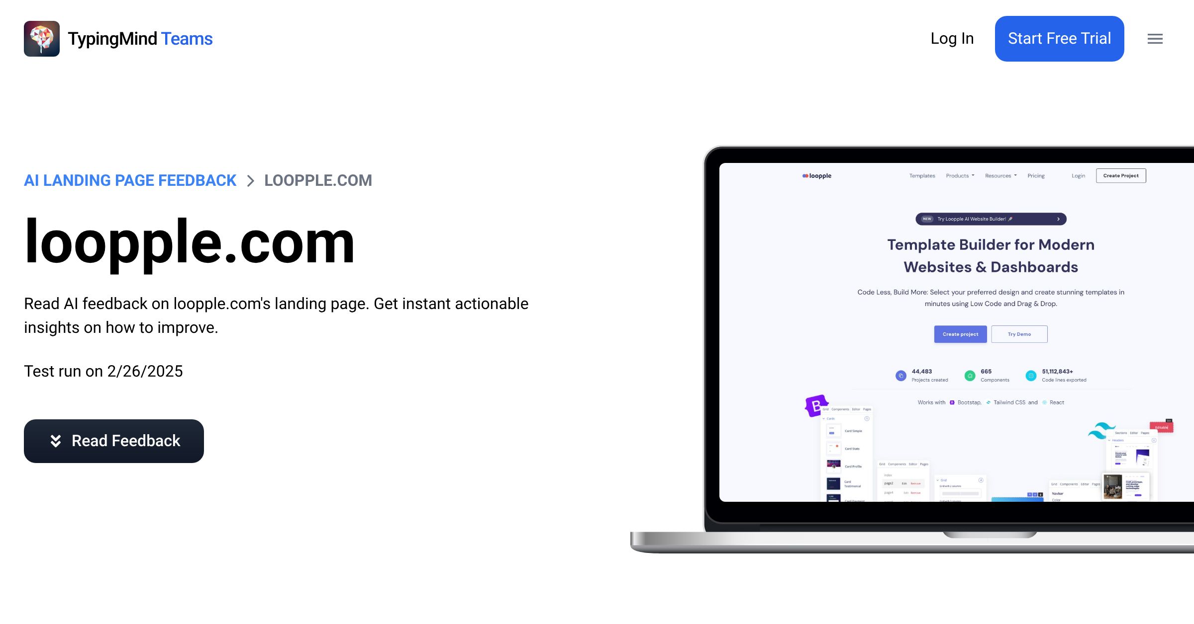AI Landing Page Feedback for loopple.com