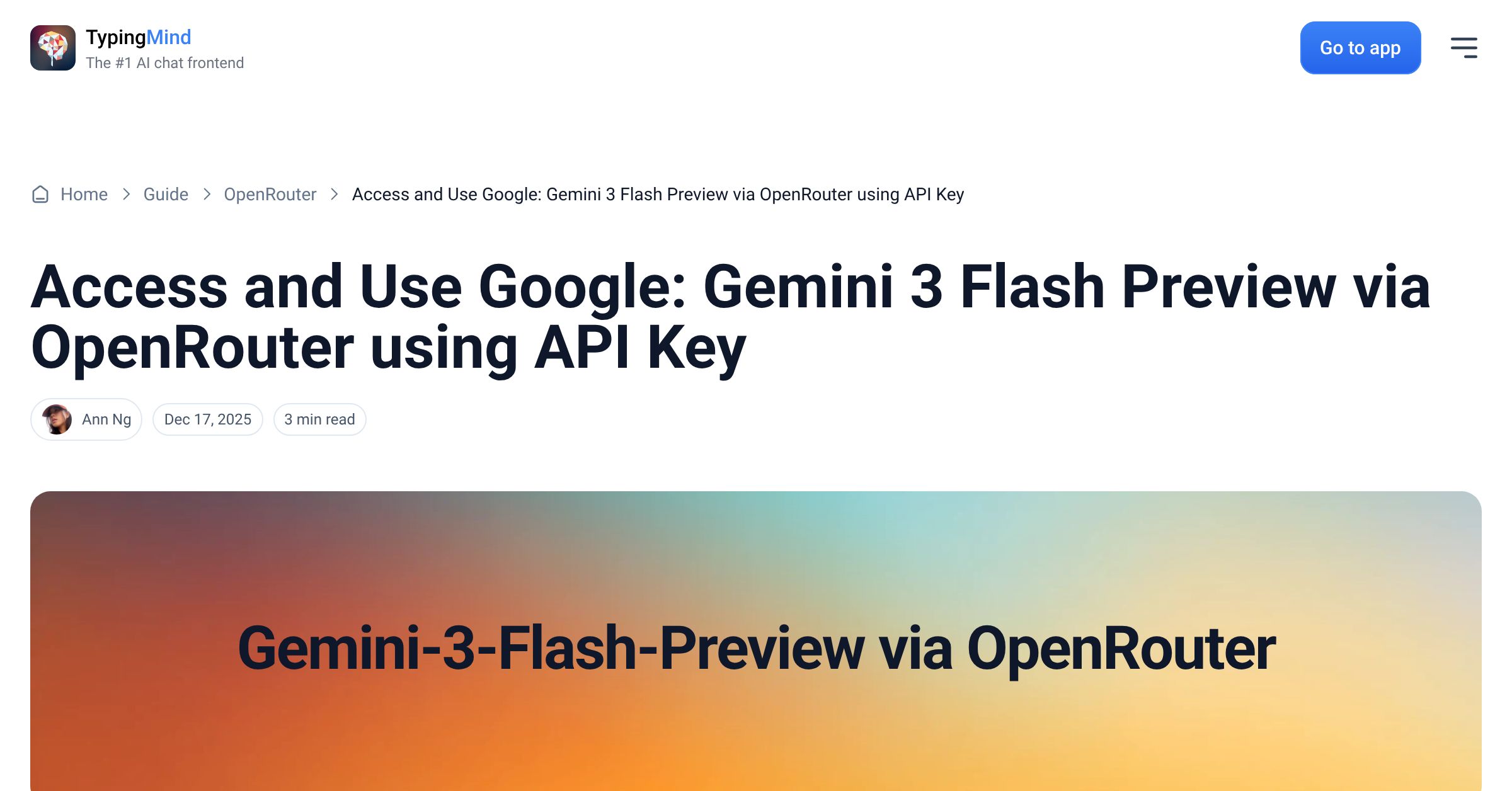 Access and Use Google: Gemini 3 Flash Preview via OpenRouter using API Key | TypingMind