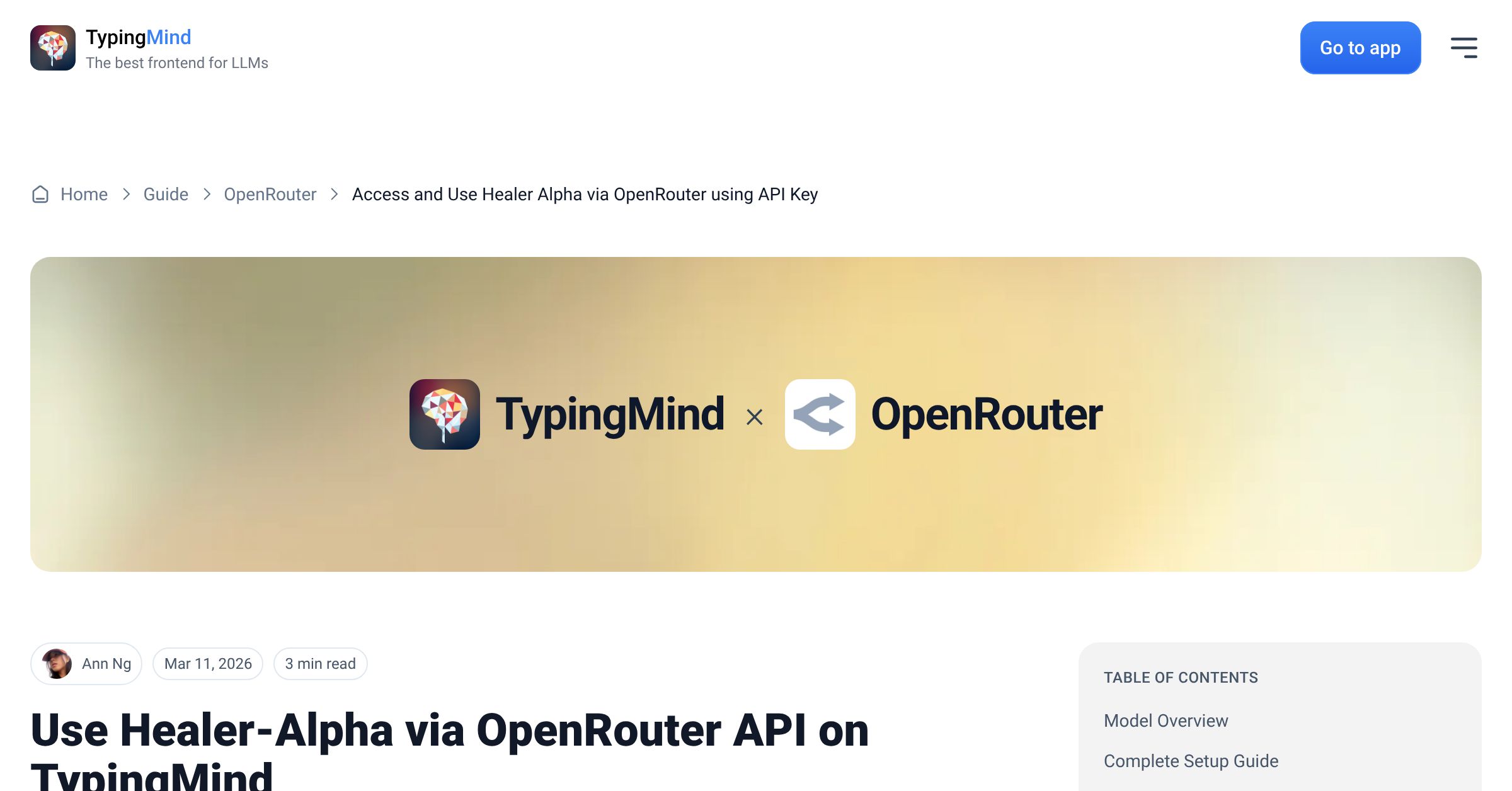 Access and Use Healer Alpha via OpenRouter using API Key | TypingMind